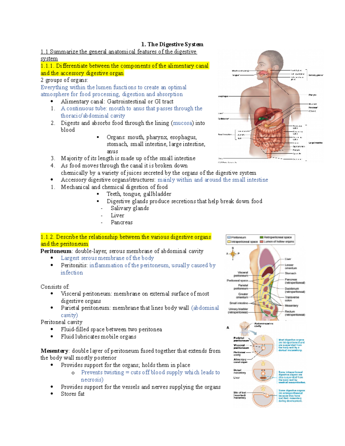ANP1107 Midterm 1 - Digestive system notes - 1. The Digestive System 1 ...