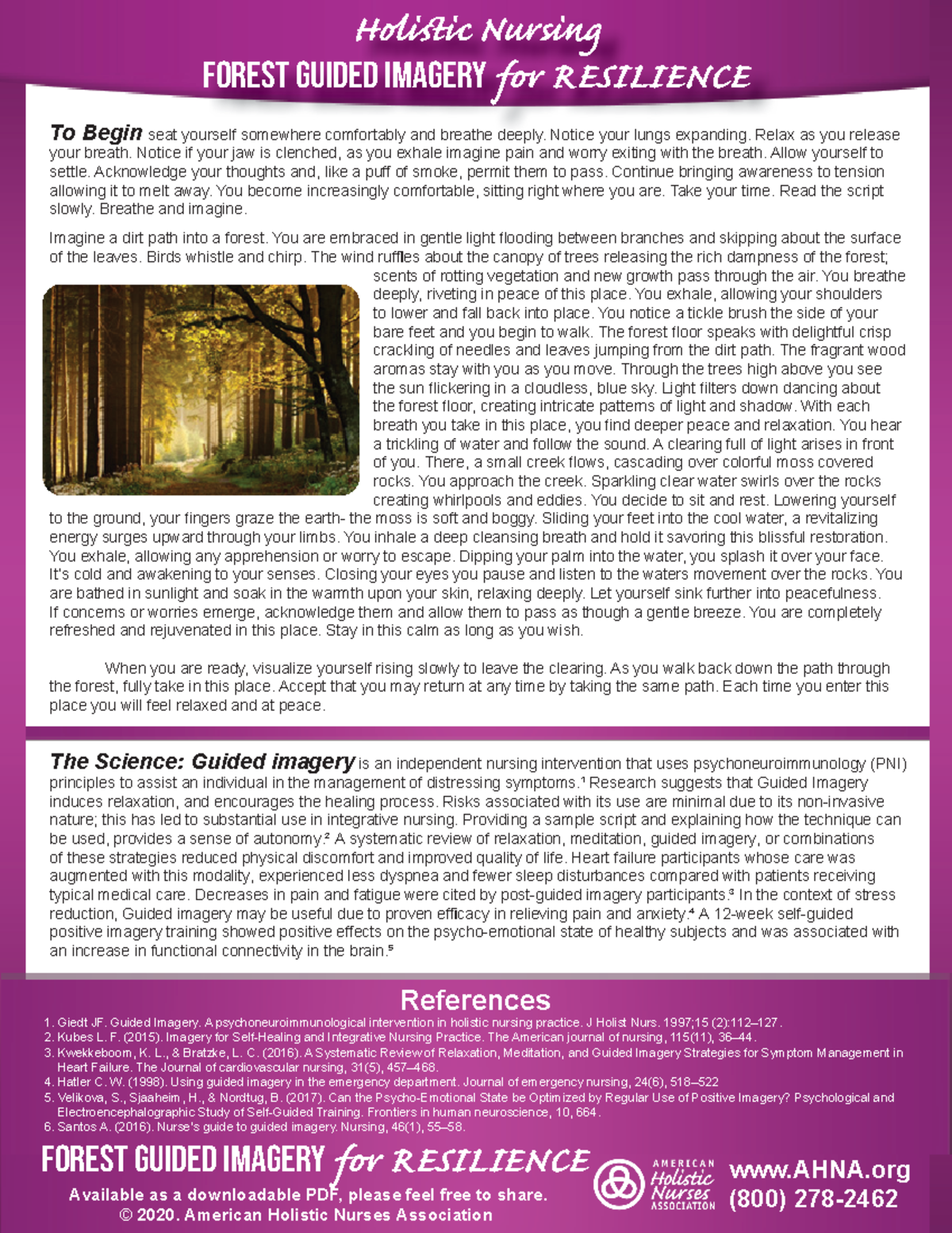 Forest Guided Imagery for Resilience - H N r ng Forest Guided Imagery r ...