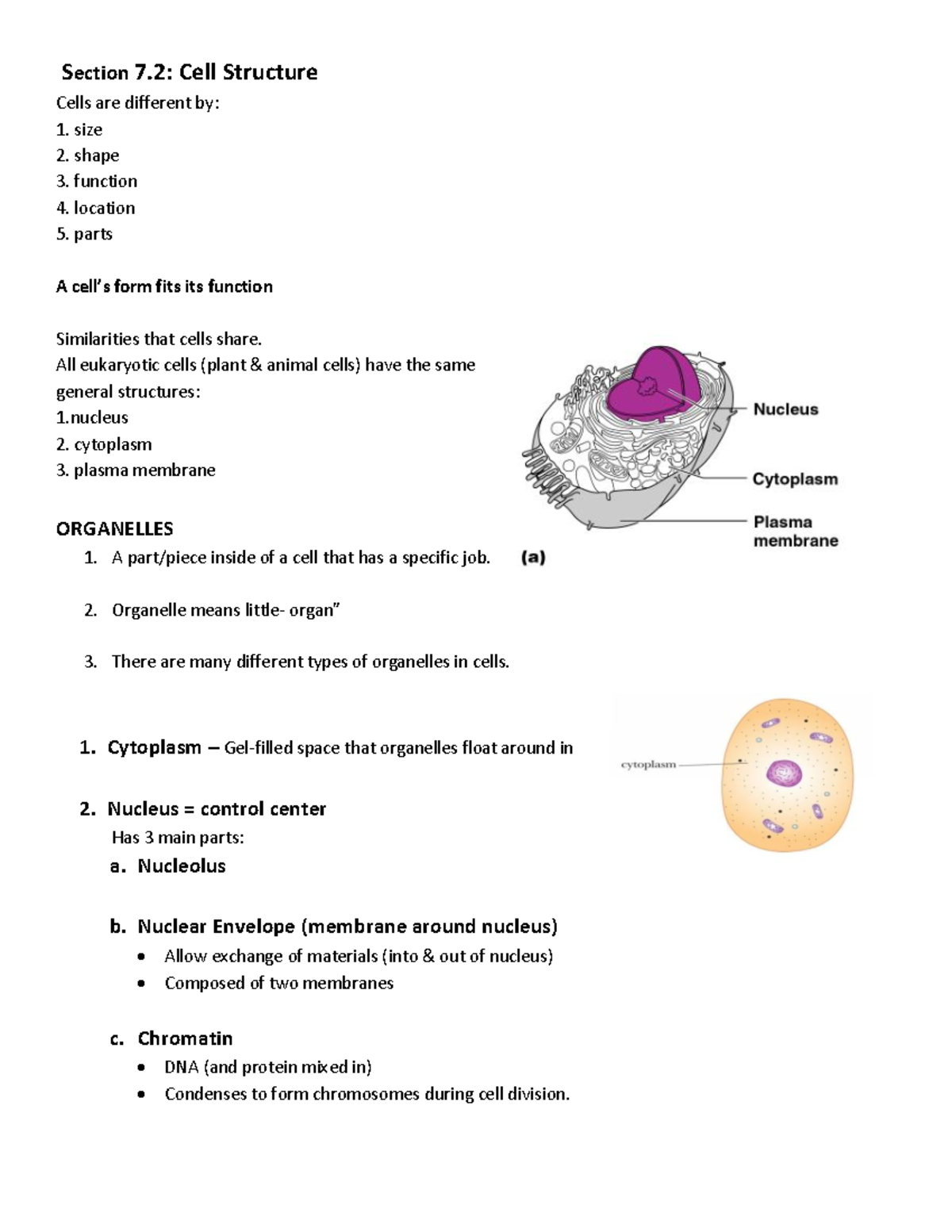 Section 7.2 Notes - Section 7: Cell Structure Cells are different by: 1 ...