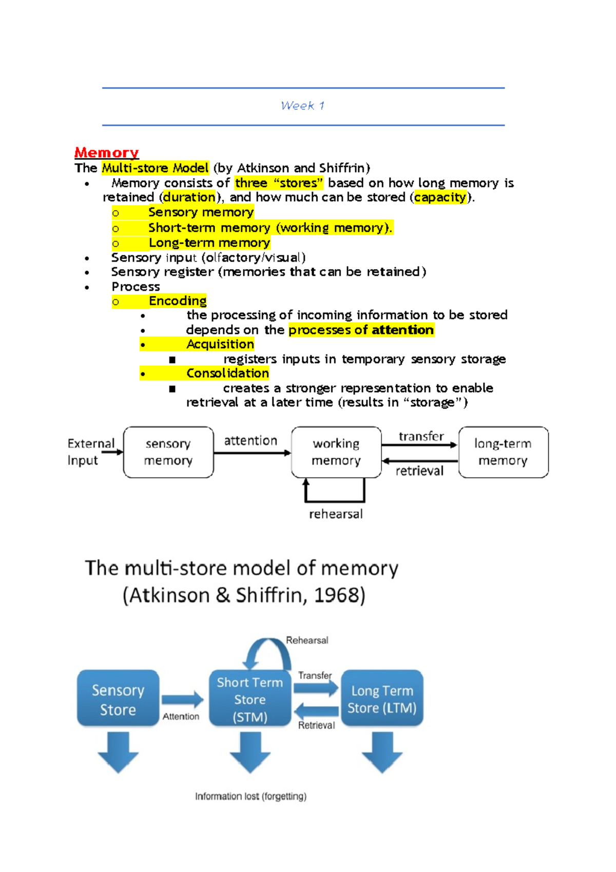 Week 1 - Lecture notes 1 - Week 1 Memory The Multi-store Model (by ...