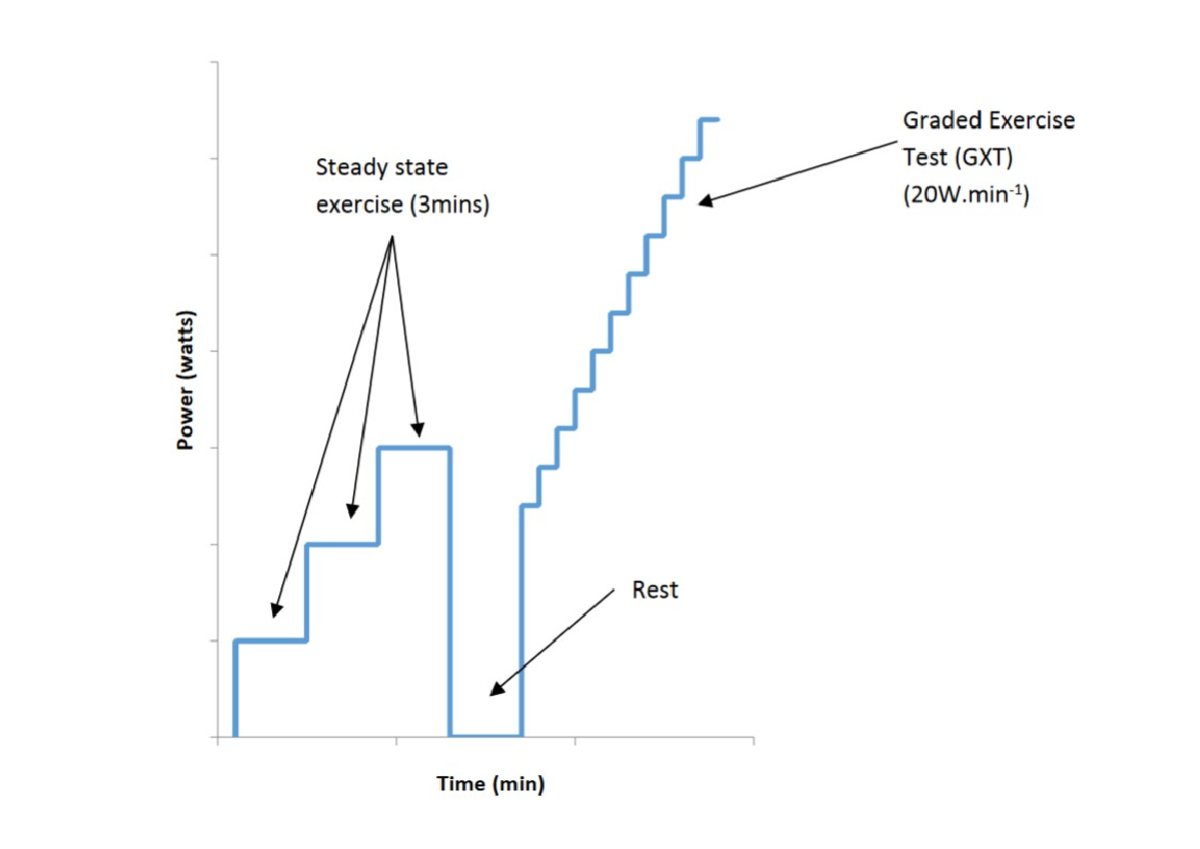 Lab Image - Diagram from Laboratory class - EXSC225 - Graded Exercise ...