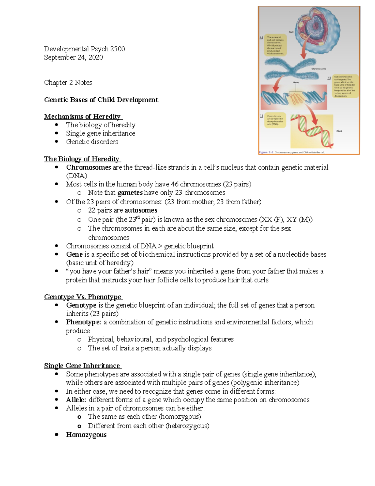 PSYC 2500 Chapter 2 - Genetic Bases of Child Development ...