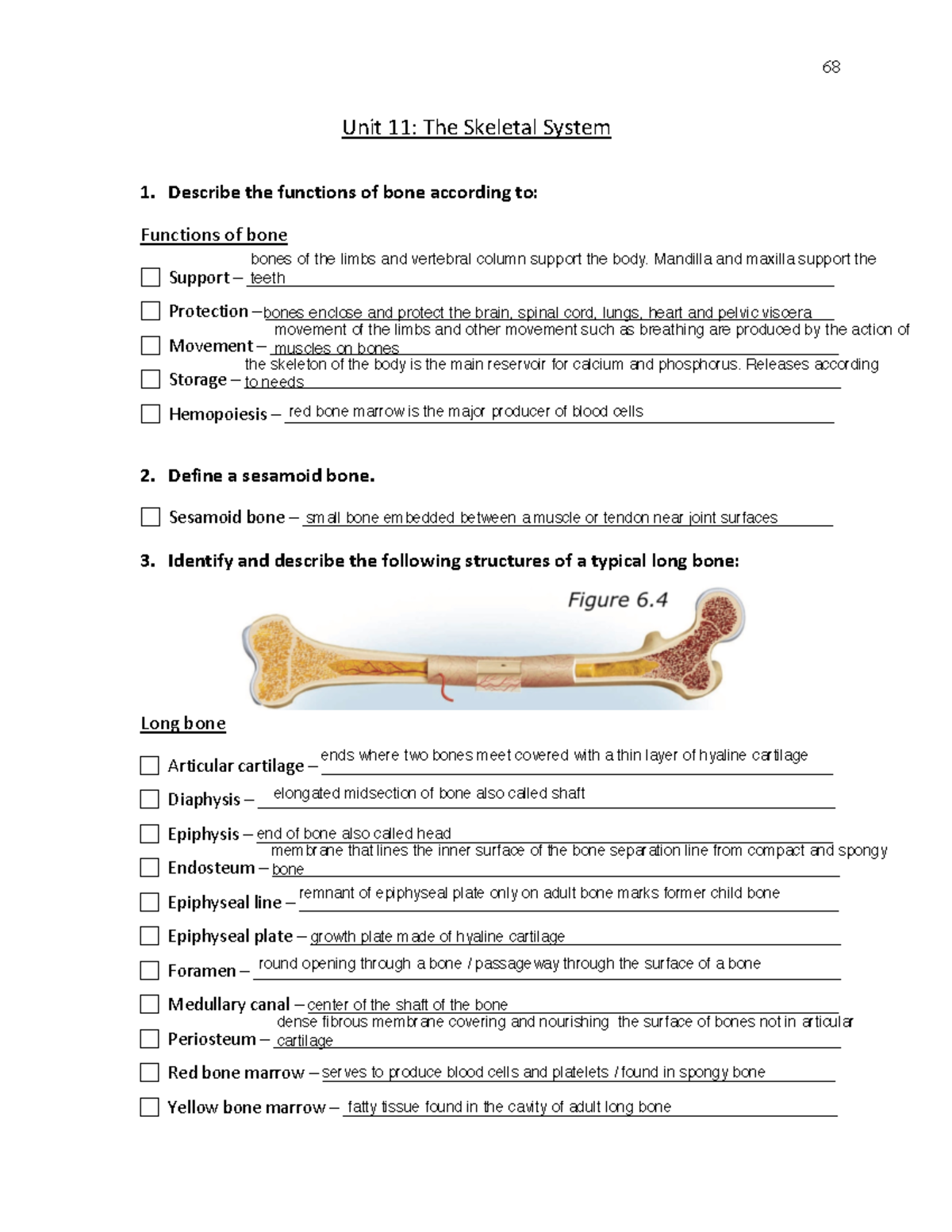 Unit 11 the skeletal system - Unit 11: The Skeletal System 1. Describe ...