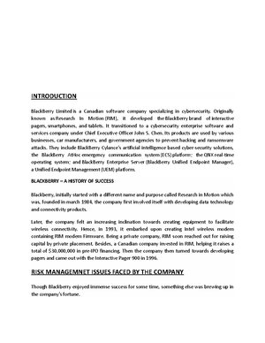 Risk Assignment - Write about top 20 risks and their action plan ...