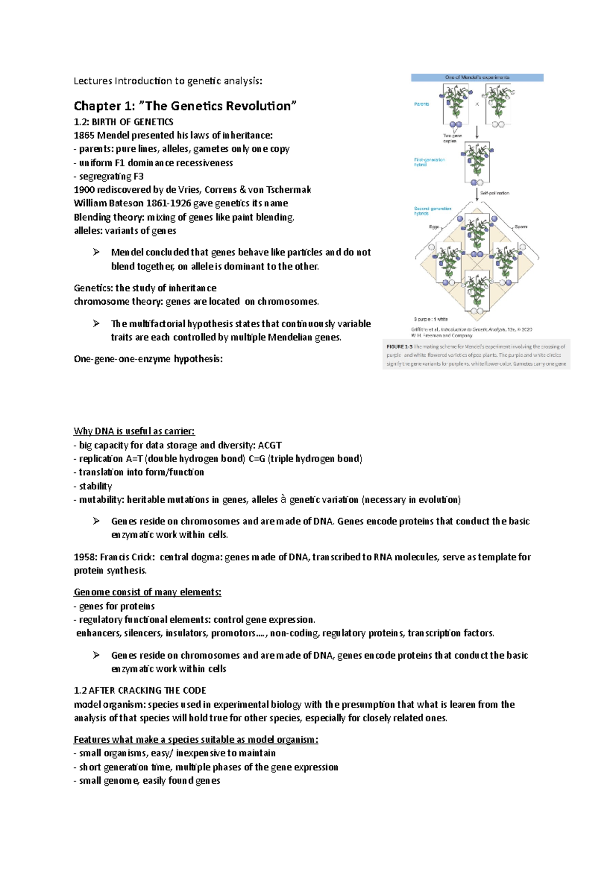 All lectures genetics summary incl. book information - Lectures ...
