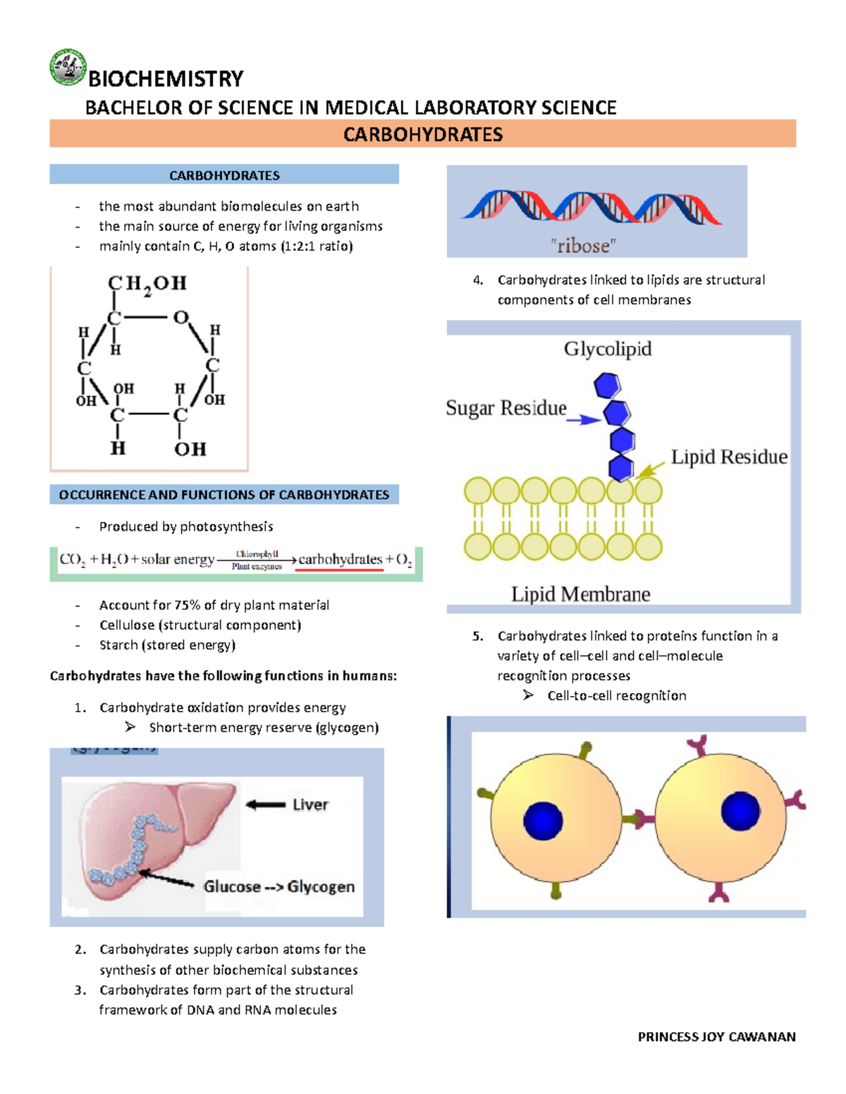 LESSON 5: CARBOHYDRATES - BACHELOR OF SCIENCE IN MEDICAL LABORATORY ...