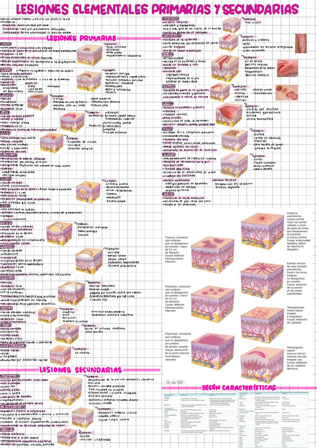 enfermedades dermatologicas - LESIONES ELEMENTALES PRIMARIAS Y ...