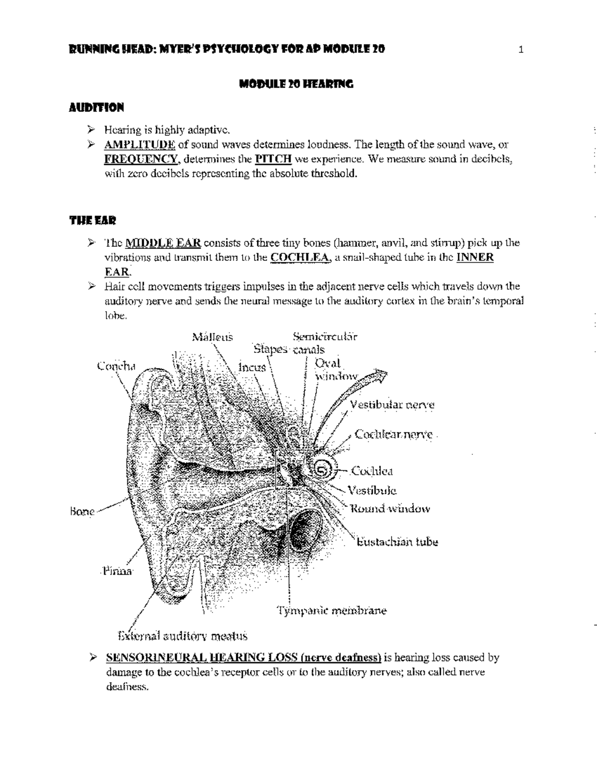 Module 20 - CHEAT SHEET - PSY 150 - Studocu