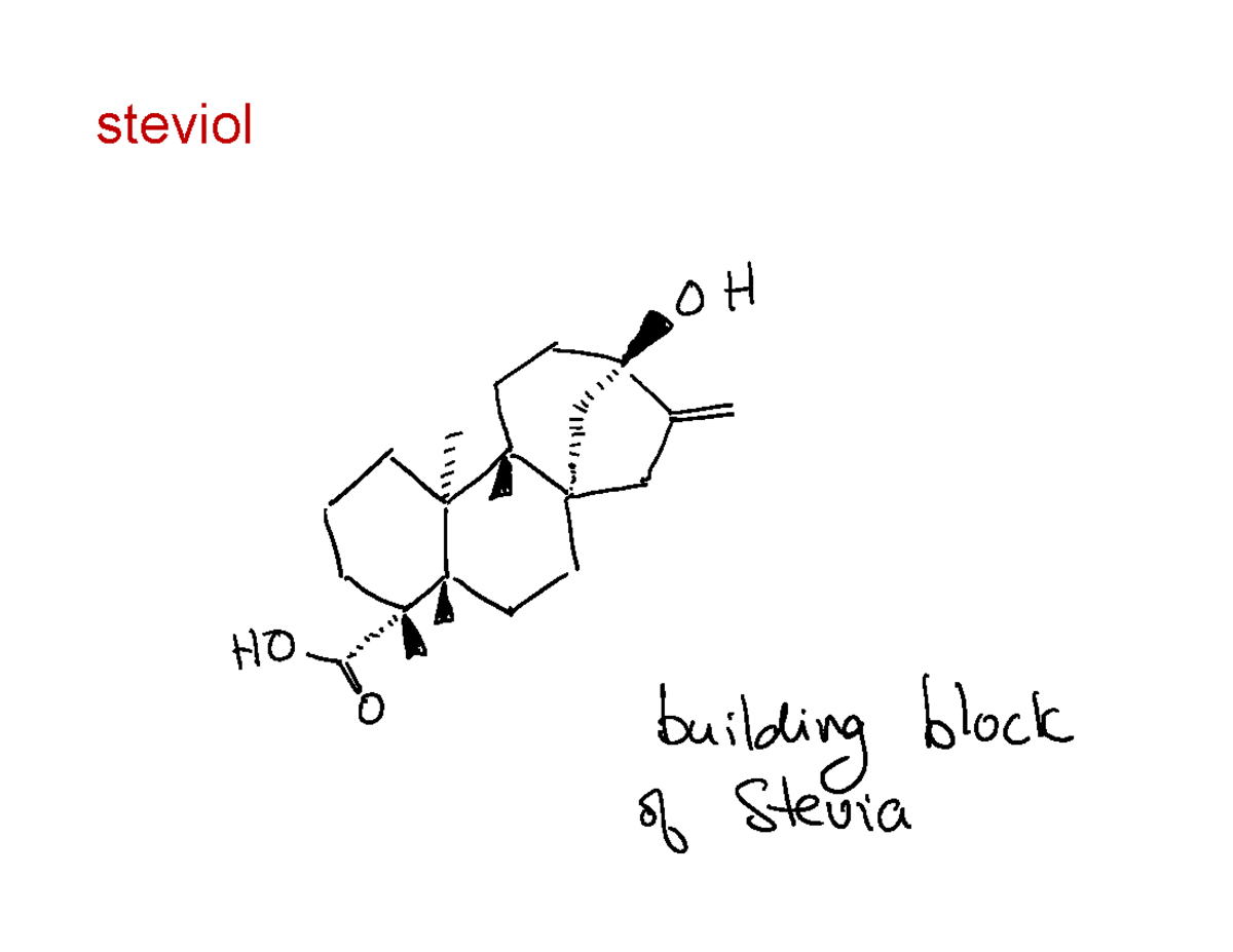 Fall 2019 MCB 102 Lecture 6 after class slides 29-48 2019 0917 ...