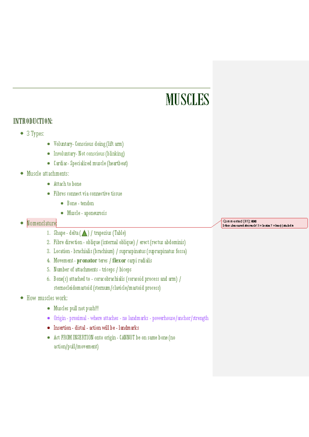 Muscles - Summary ANATOMY of the upper and lower limbs - MUSCLES ...