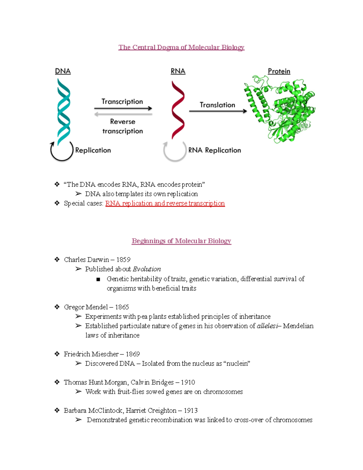 BIOL 367 Lecture 1 notes - The Central Dogma of Molecular Biology “The ...
