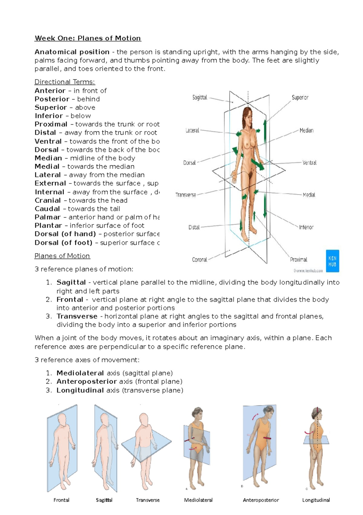 Weeks 1-6 functional anatomy notes - Week One: Planes of Motion ...