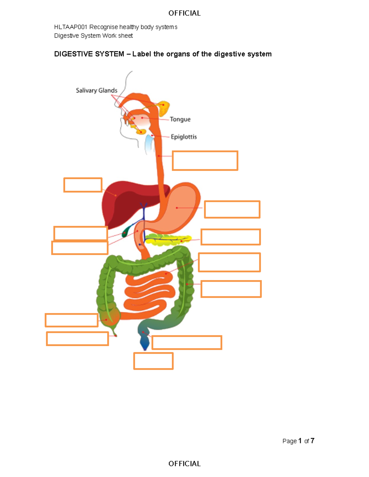Digestive System student worksheet - HLTAAP001 Recognise healthy body ...
