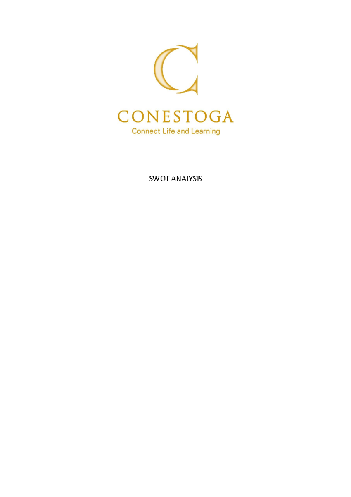 SWOT Analysis - SWOT ANALYSIS INTRODUCTION We will be analyzing the ...