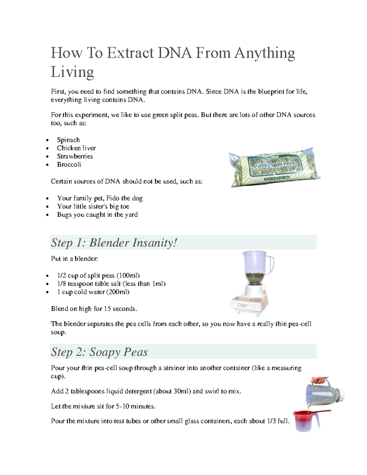 How To Extract Dna From Anything Living How To Extract Dna From Anything Living First You 