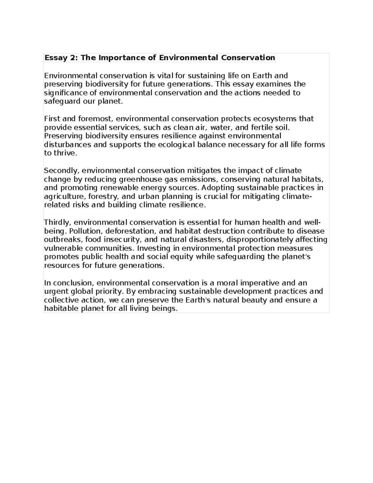 Essay 21 - dasfasydfsrytauvdhiahdonaijnjjua - Essay 2: The Importance ...