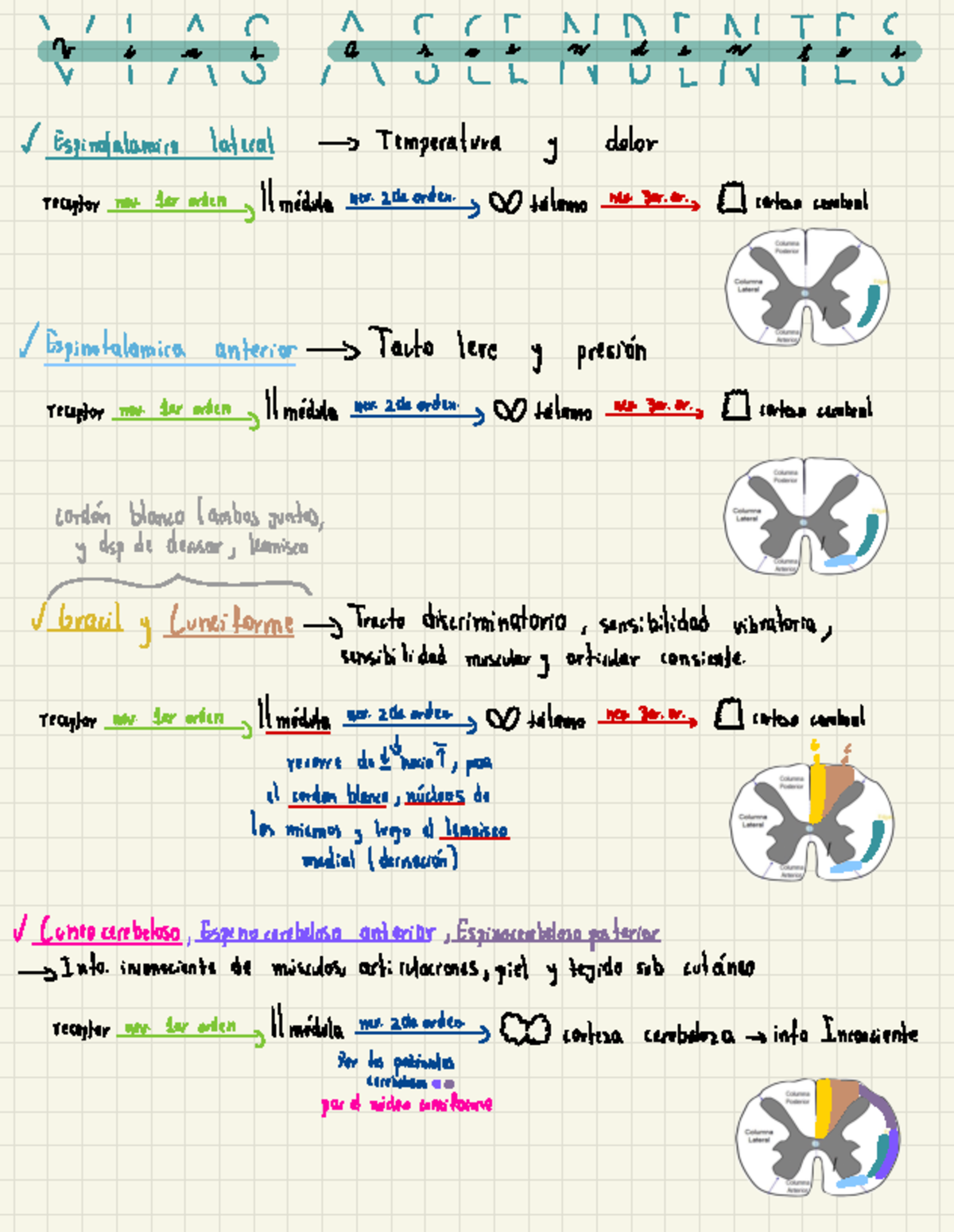 Vías ascendentes - & I C 1C - + /R + z · e I see /TT V I 116 1 - 2 ni Y ...