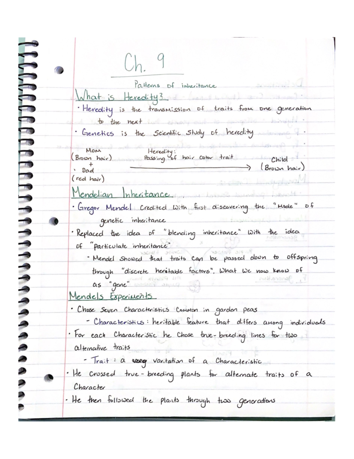 Chapter 9 Notes - Biology 1406 - Studocu