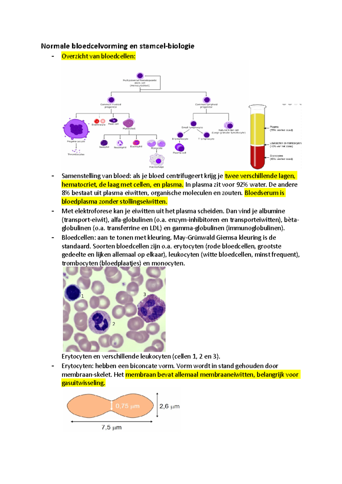 Bloedcelvorming Afweer en Laboratoriumtechnieken - Normale ...