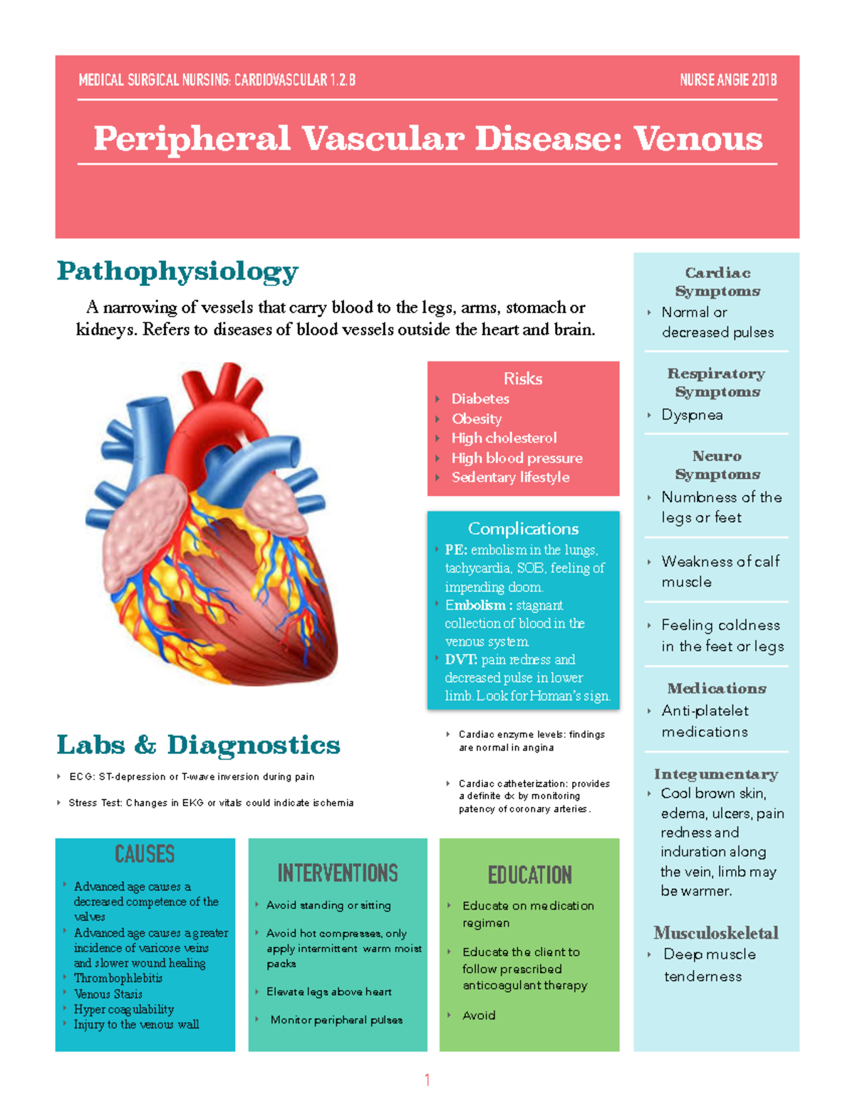 PVD Venous - Pathophysiology A narrowing of vessels that carry blood to ...