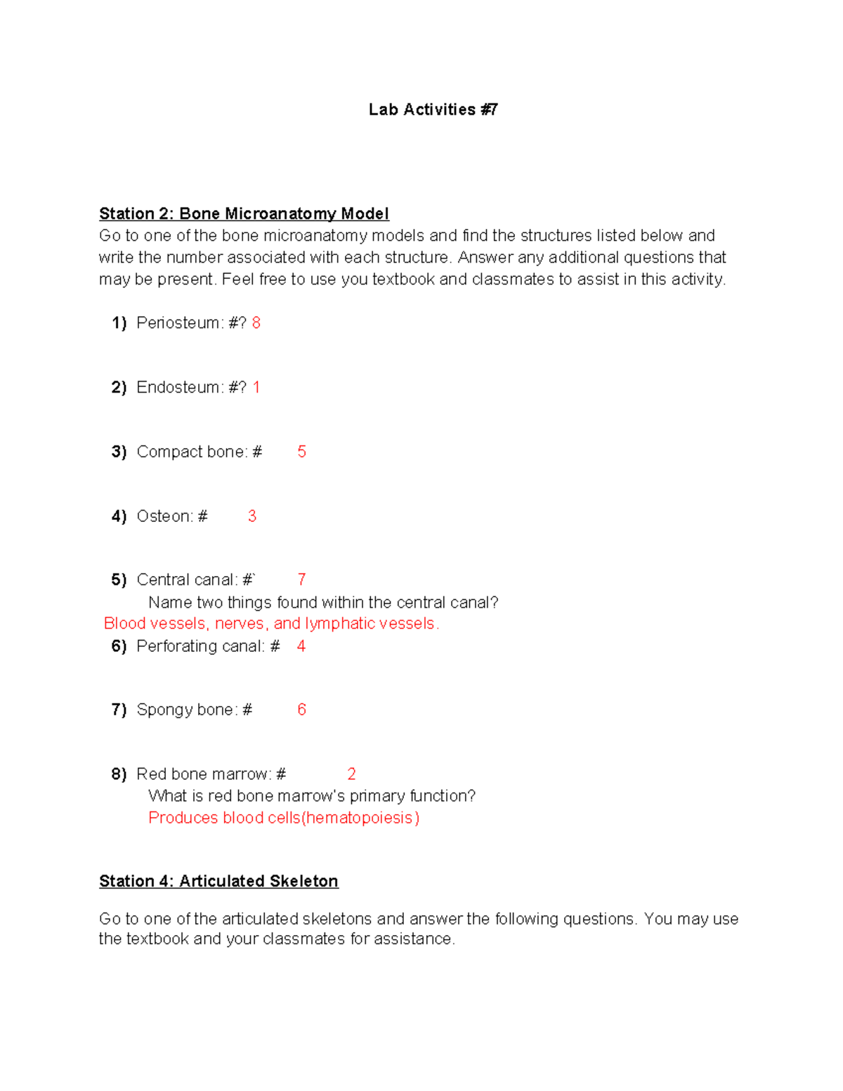 lab assignment week 8 anatomy class - Lab Activities # Station 2: Bone ...