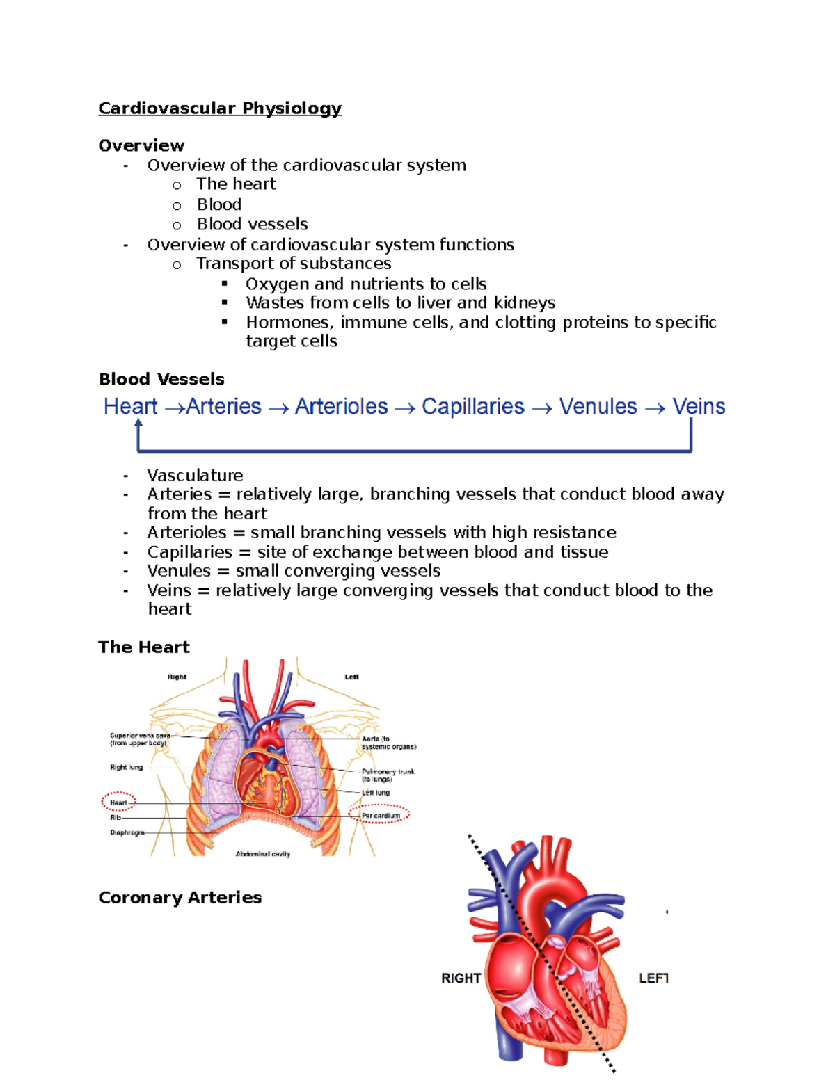 Lecture 23-29 - Cardiovascular Physiology - Cardiovascular Physiology ...