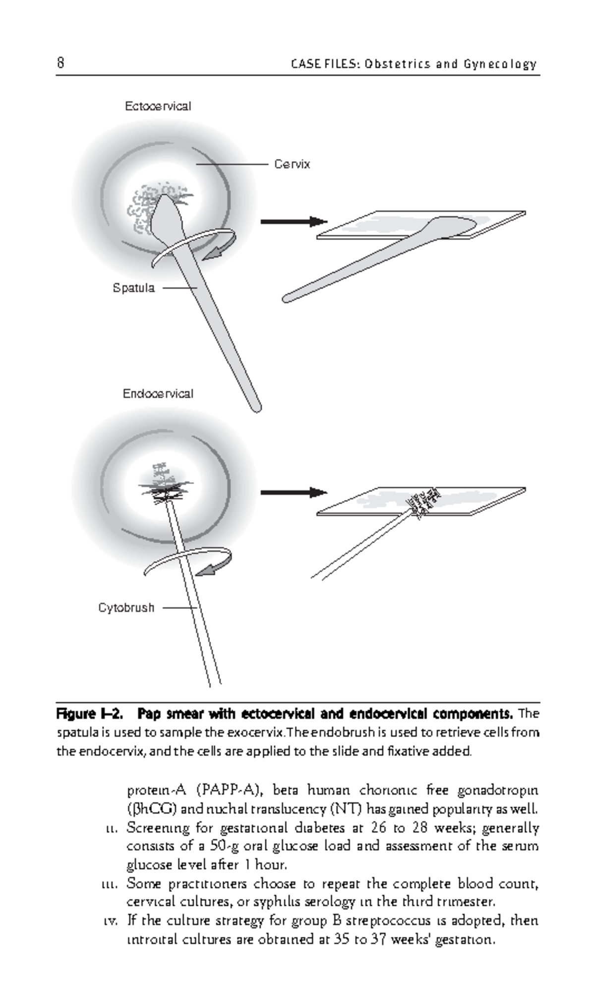 Case Files Obstetrics Gynecology Lecture Notesed 54387147 5 8 Case Files O B S T E T R I C S