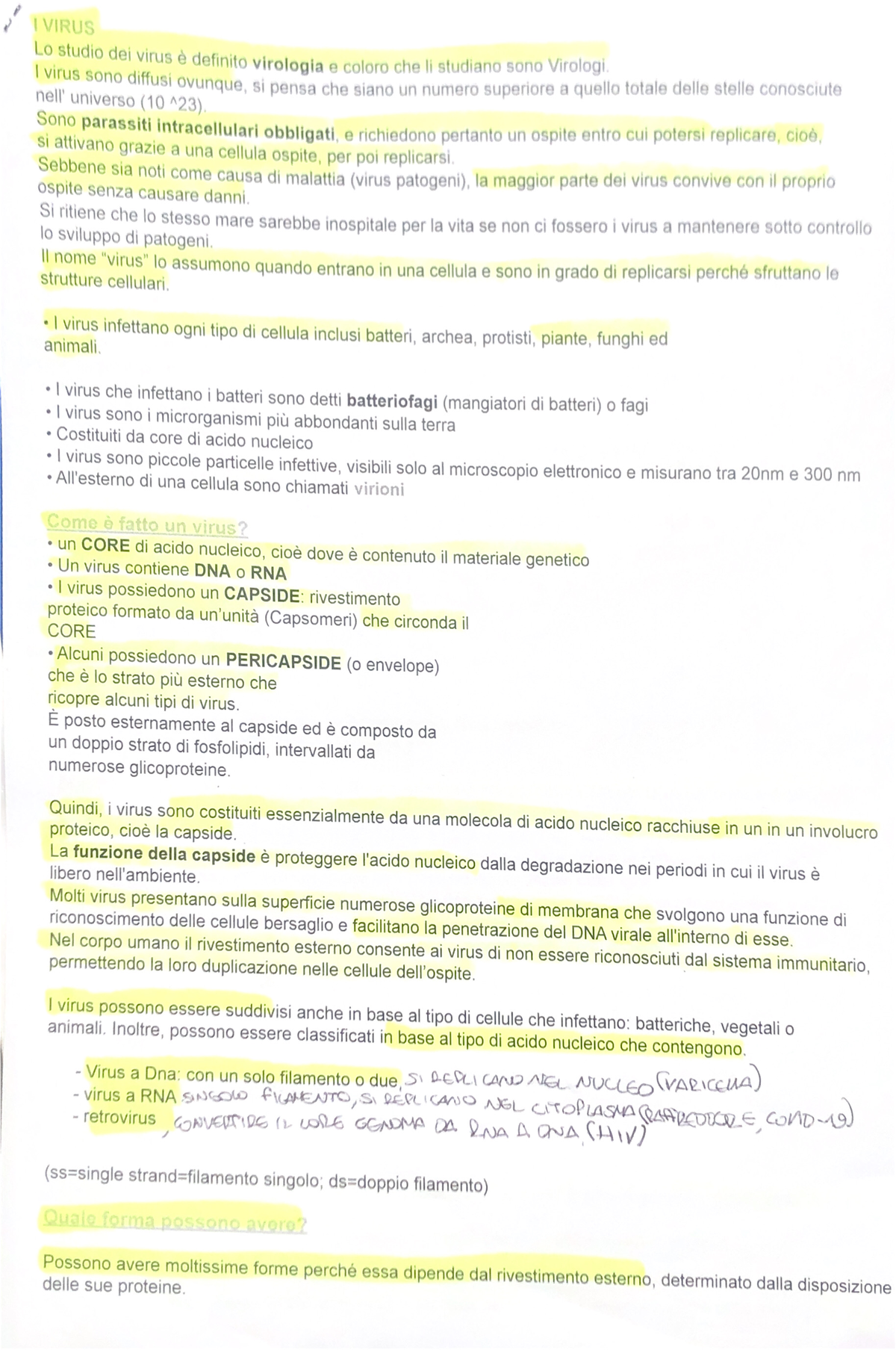 Virus - IVIRUS Lo virus studio dei virus è definito virologia e coloro ...