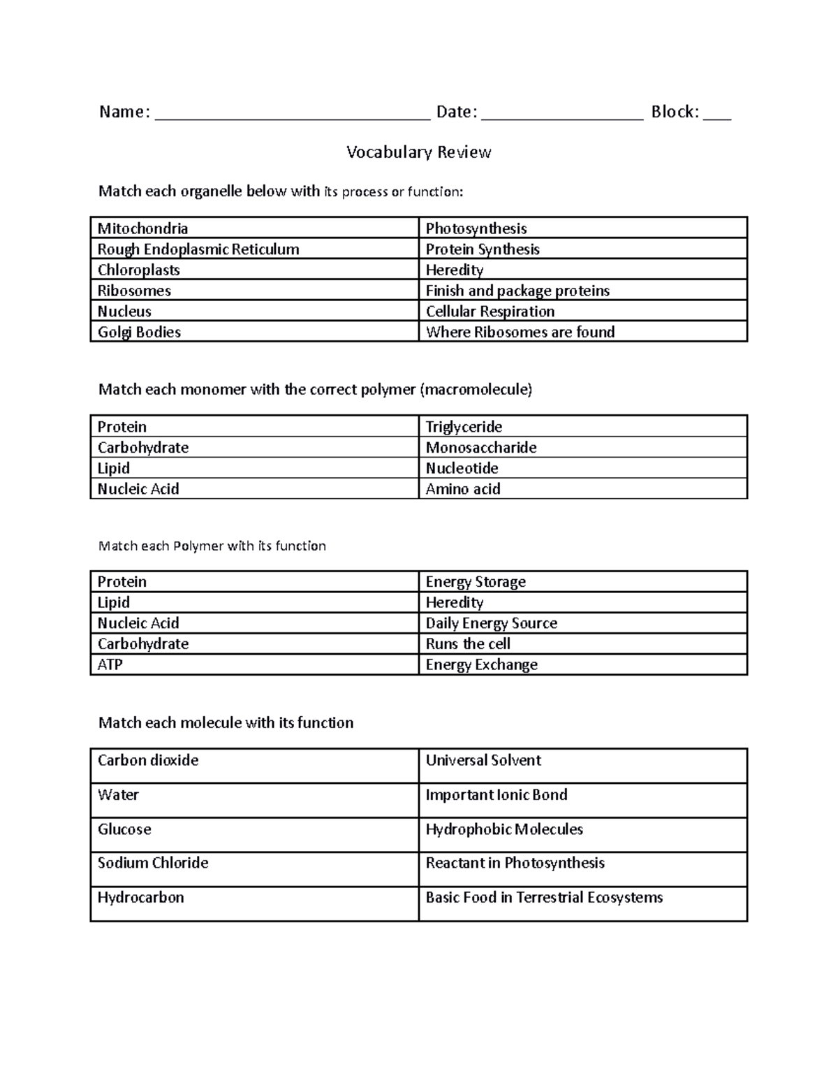 Vocabulary Review - Name: _____________________________ Date ...