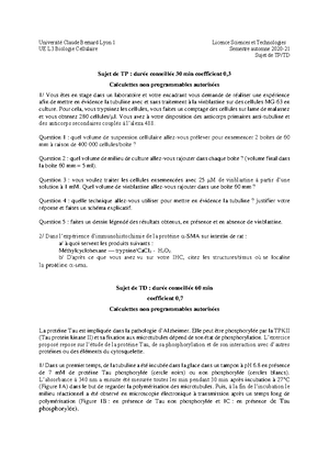 MET - Ultrastructure polycopié de TP - Travaux Pratiques de Dynamique ...