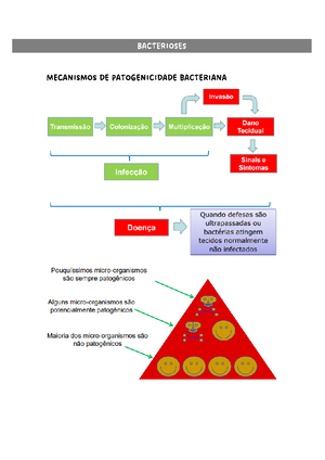 Aula 5 - BVD - Diarréia Bovina Viral - HISTÓRICO Descrita em 1947- Olafson et al. – BVD 1953 ...