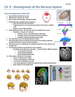 Updating Rizal's Family Tree - Domingo Lam-co Ines Dela Rosa Francisco ...