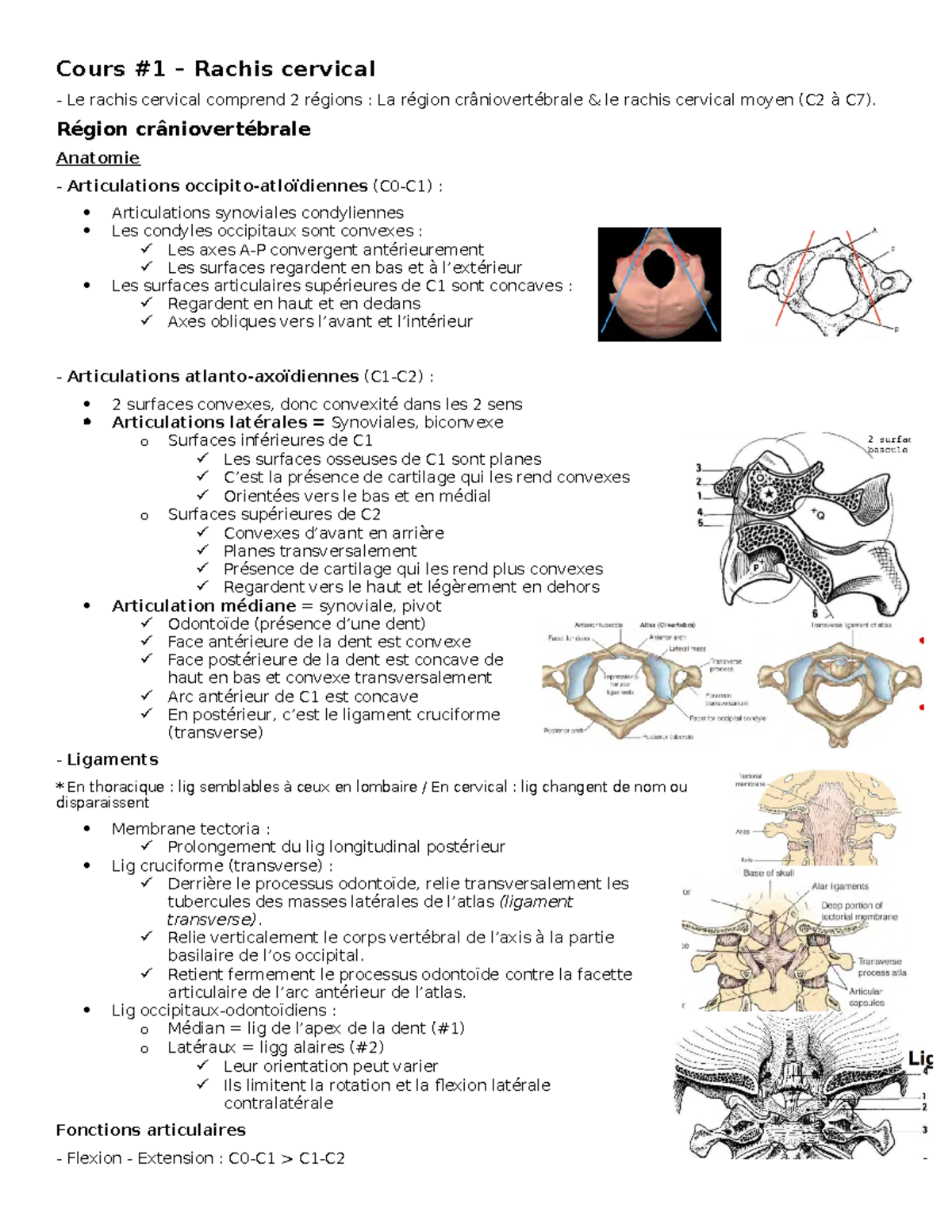 Révision pour l'examen #1 - Cours #1 – Rachis cervical Le rachis ...