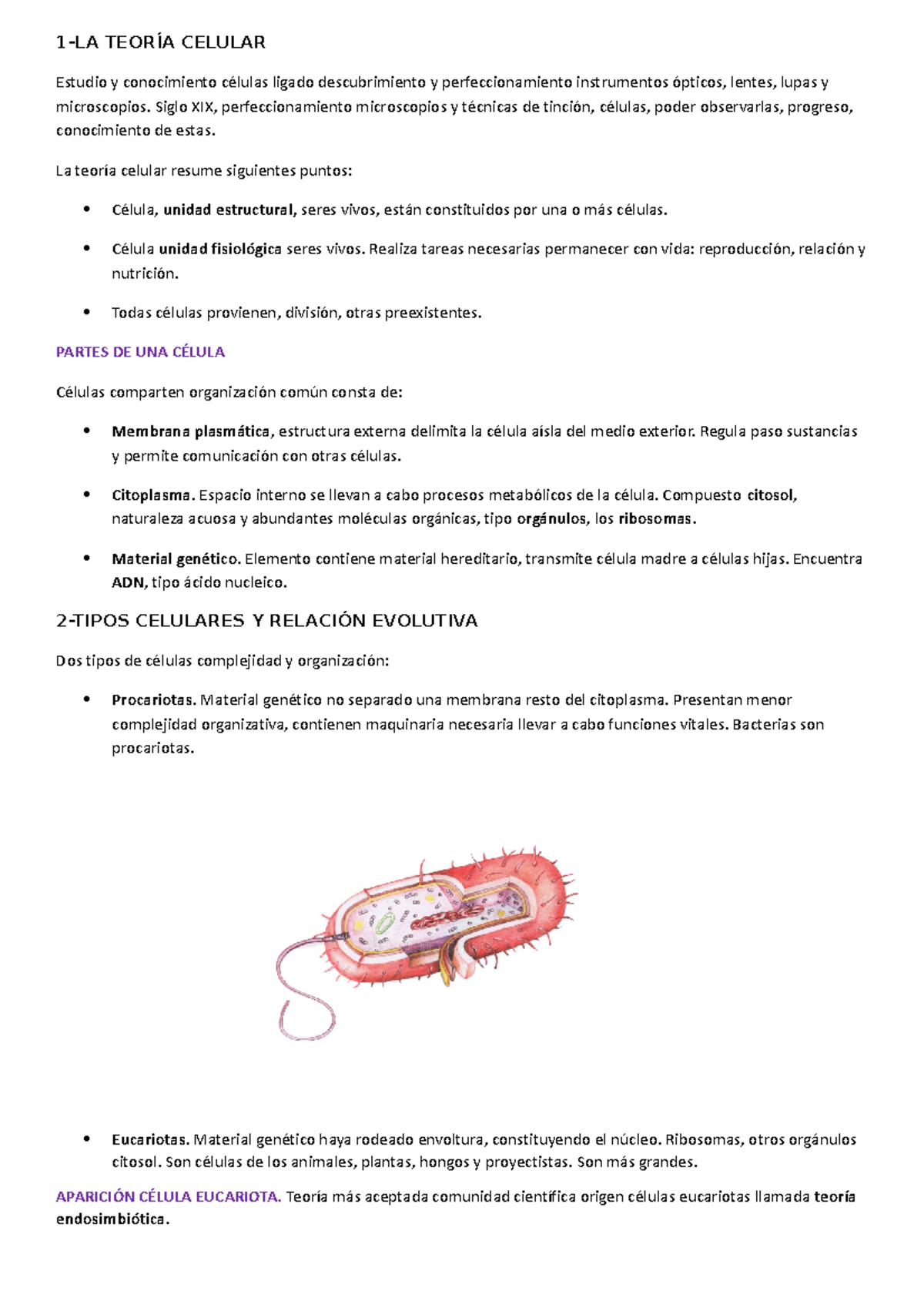 Tema 6 - apuntes - 1-LA TEORÍA CELULAR Estudio y conocimiento células ...
