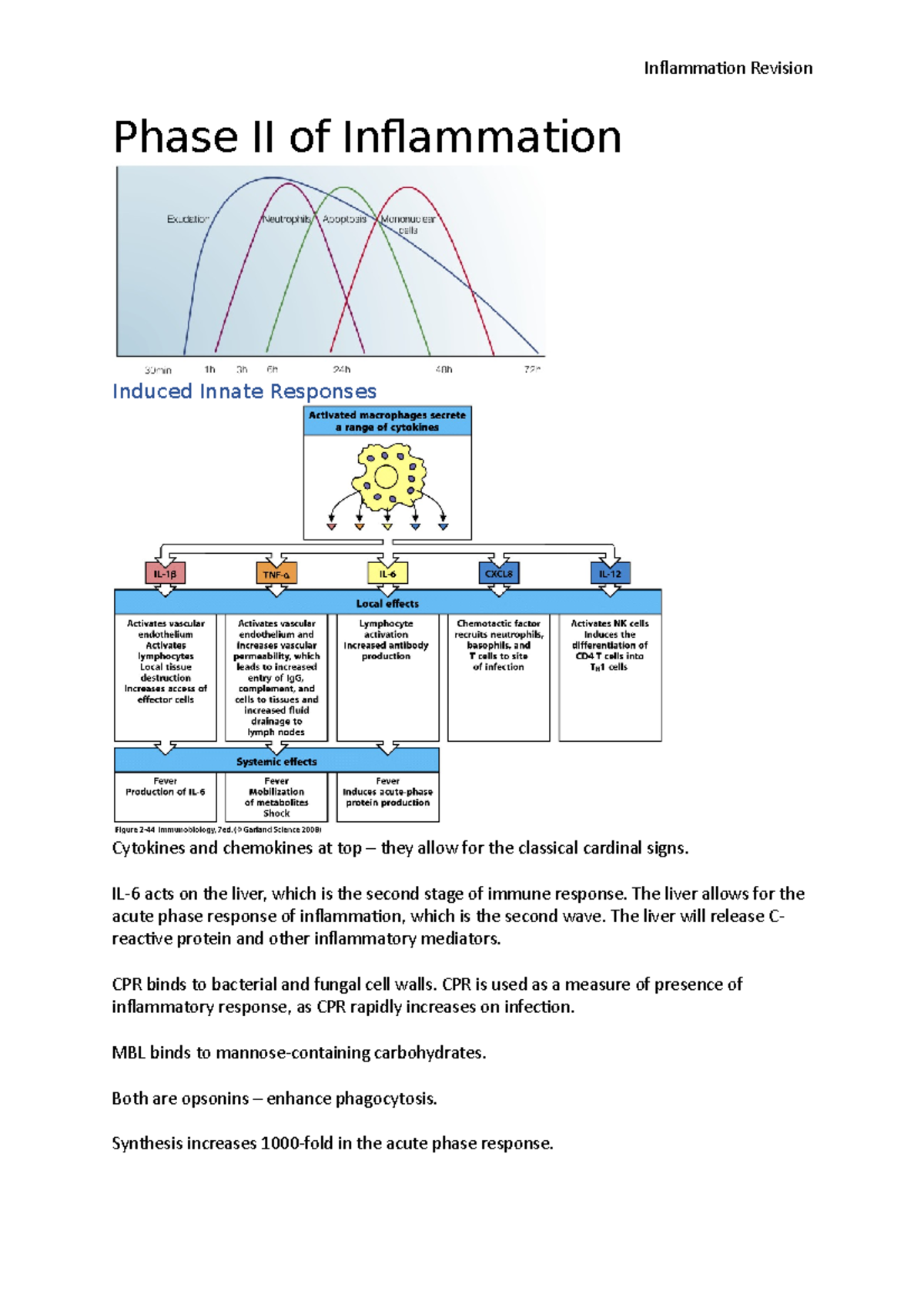 Phase II of Inflammation - Inflammation Revision Phase II of ...