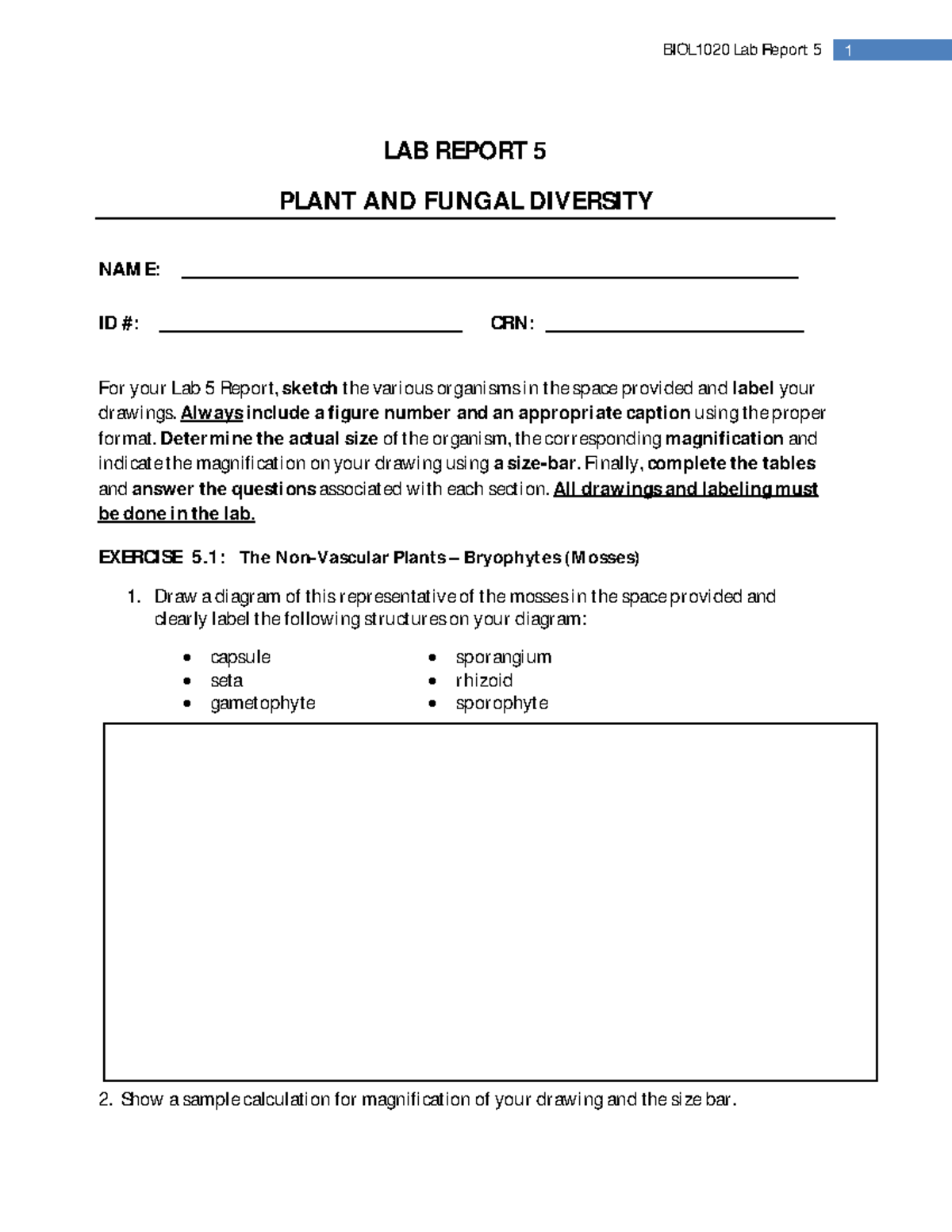 Lab 5-Lab Assignment - Bio Lab - LAB REPORT 5 PLANT AND FUNGAL ...