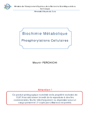 Les lipides simples - BIOCHIMIE STRUCTURALE - Biochemistry - UL - Studocu