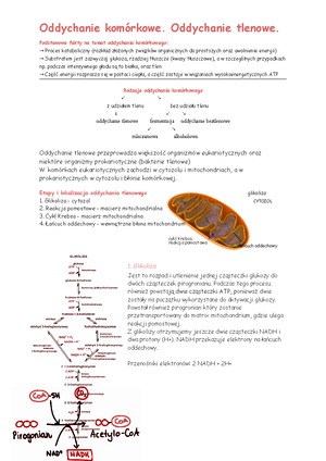 Zal. nr 7 - ankieta stypendysty - licea 2023 2 - Załącznik nr 7 do uchwały Nr 7813/ Zarządu ...