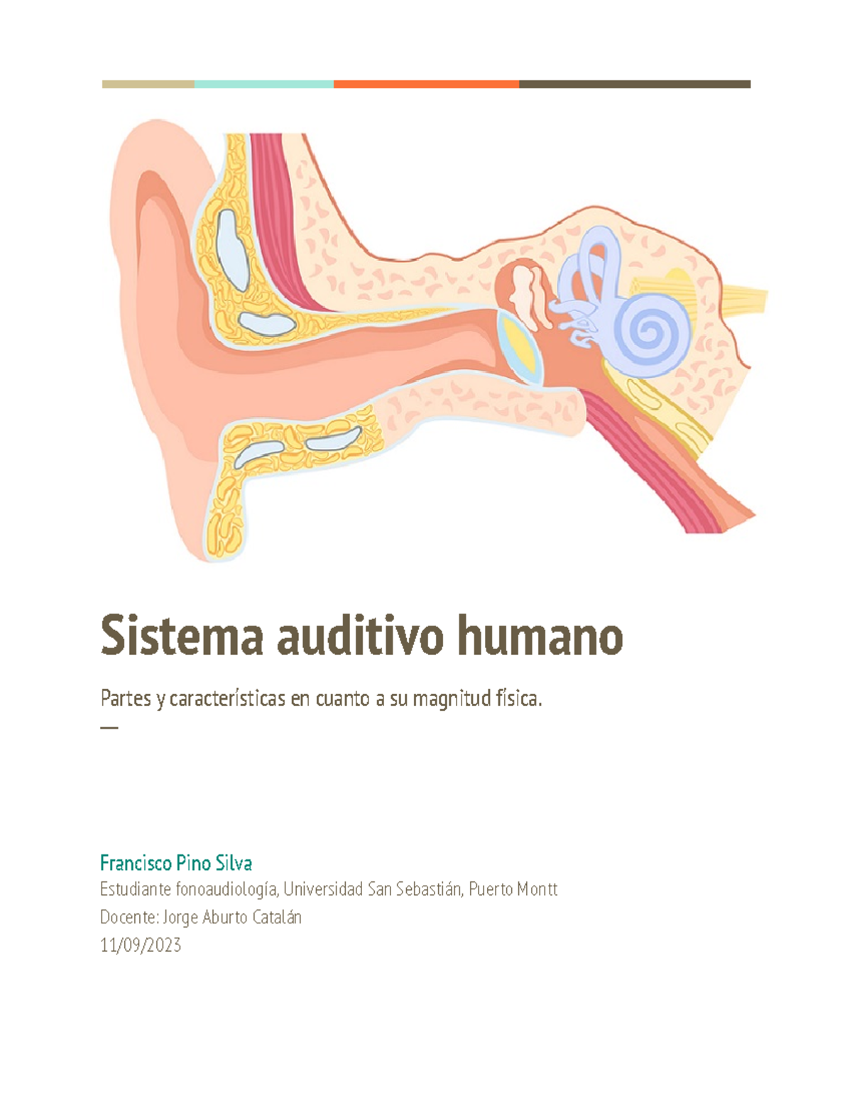 Sistema auditivo USS Patagonia - Sistema auditivo humano Partes y ...