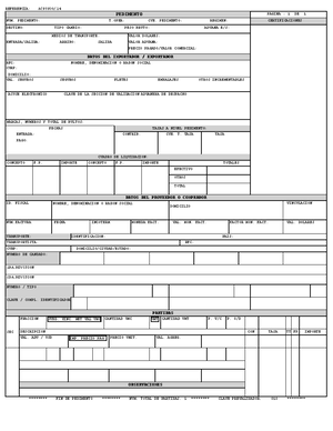 Formato-Pedimento-Aduanal - El formato de pedimento, es un formato ...