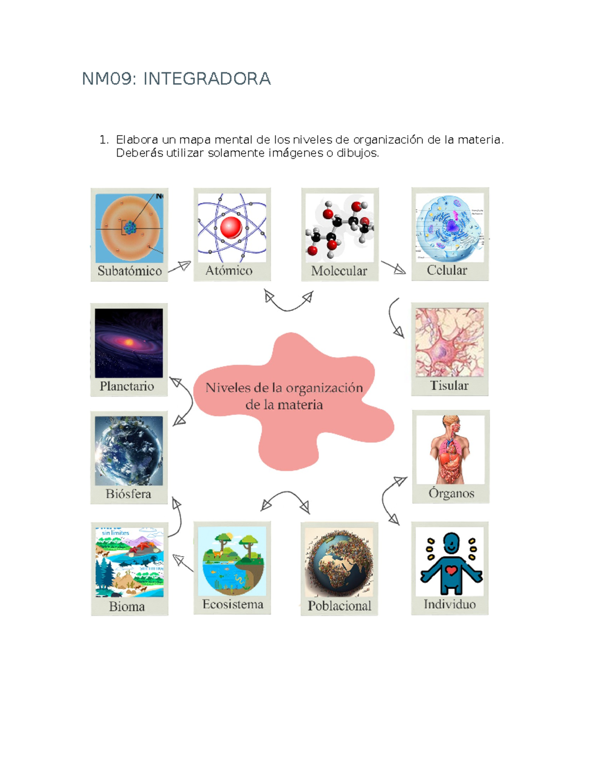 Integradora-Modulo 9 - Integradora Modulo 9 - NM09: INTEGRADORA 1 ...