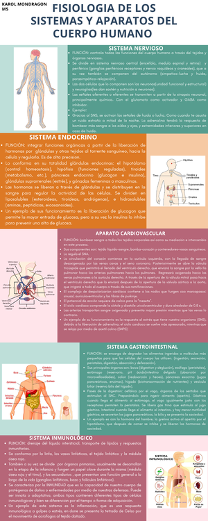 Infografia Feminismo-Karol 3B - FEMINISMO Karol Alhelí Mondragón Azuara ...