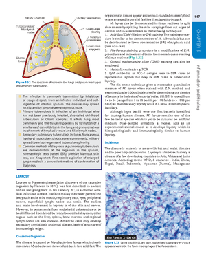 Harsh Mohan Textbook of Pathology, 7th edition-36 - Haematology and ...