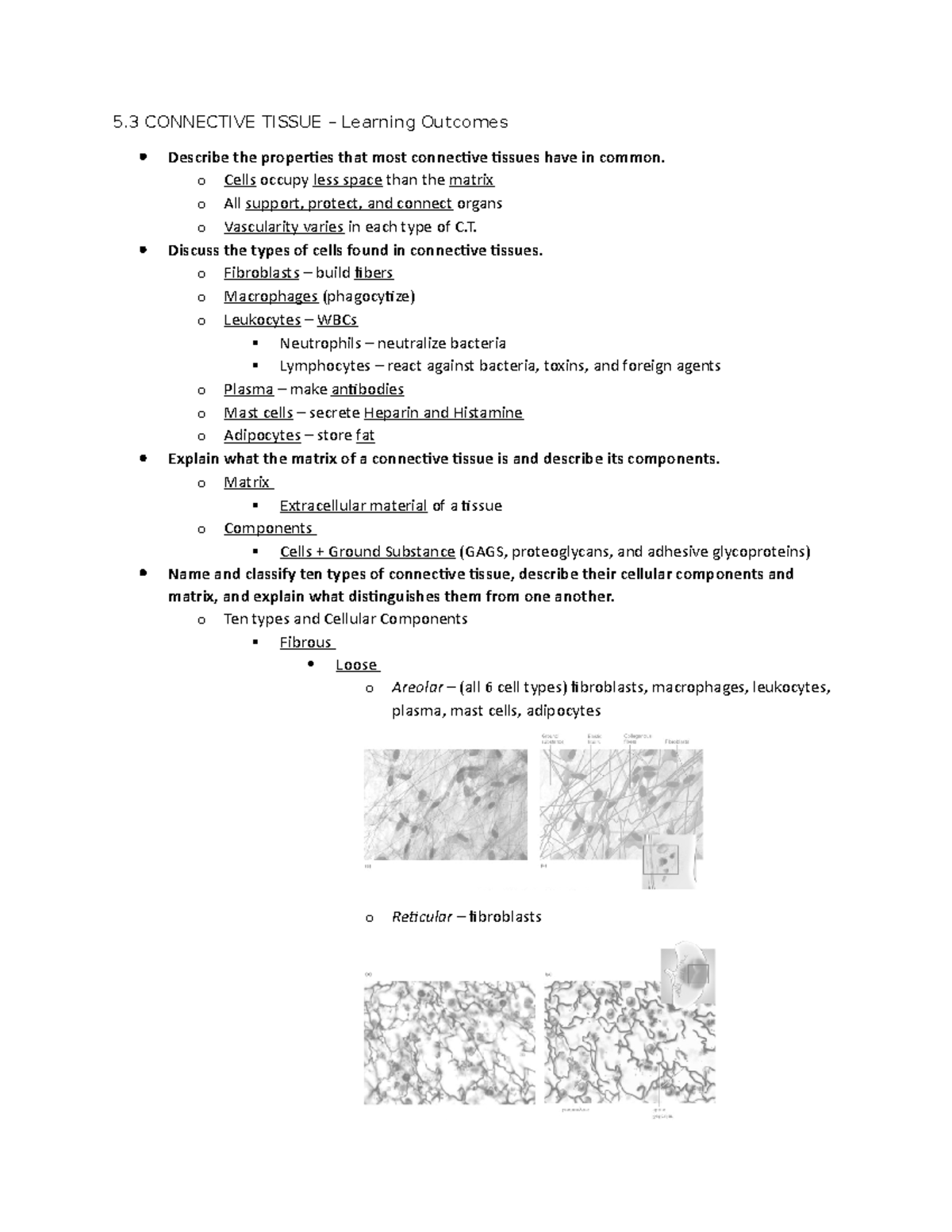 Expected Learning Outcomes: Chapter 5.3 - BIO 210 - 5 CONNECTIVE TISSUE – Learning Outcomes ...