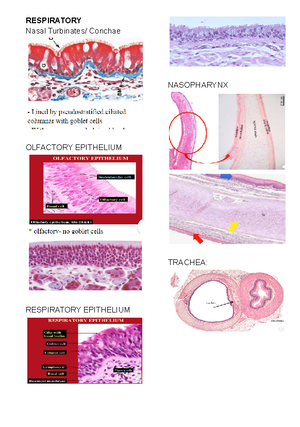 RPD 1 - Learn well! - April 11, 2024 Thursday Removable Partial Denture ...