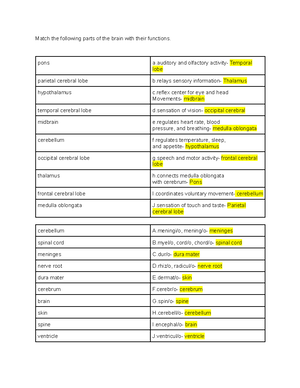 Week+4+Assignment+Worksheet - MOA115 Medical Records and Insurance Week ...