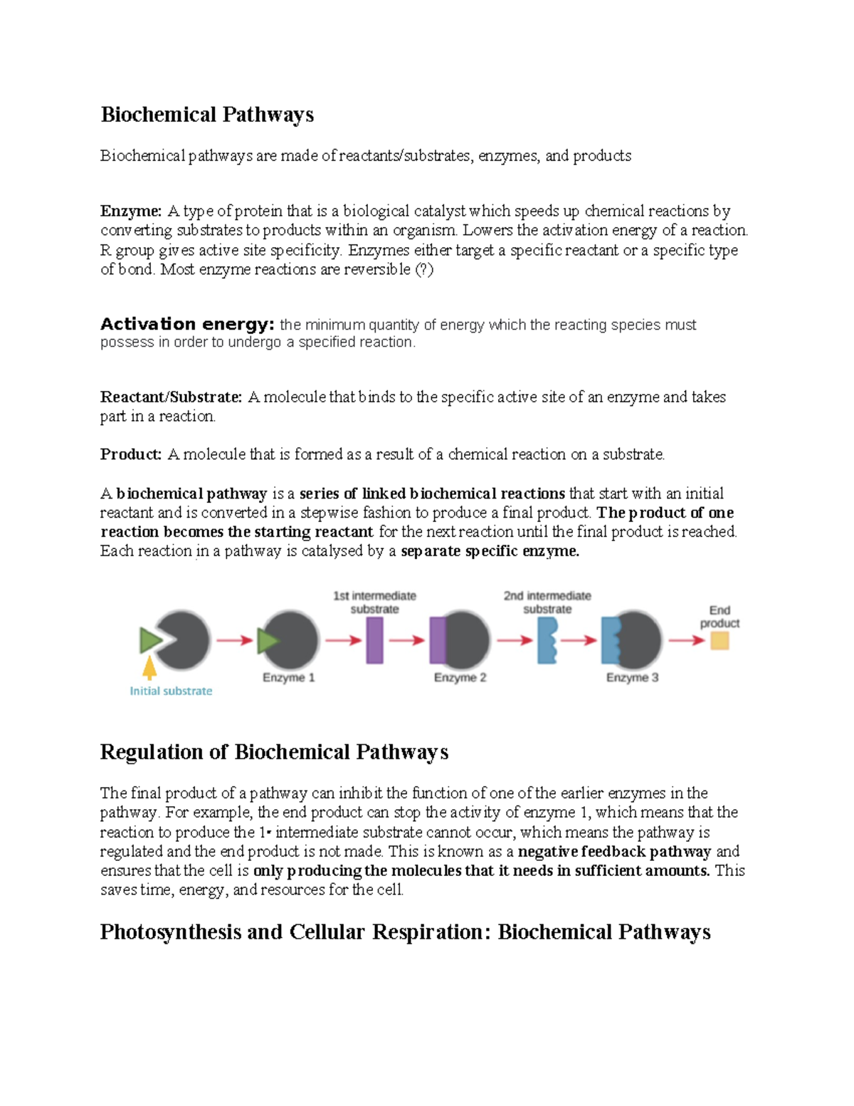 Biochemical Pathways - Study notes - Biochemical Pathways Biochemical ...