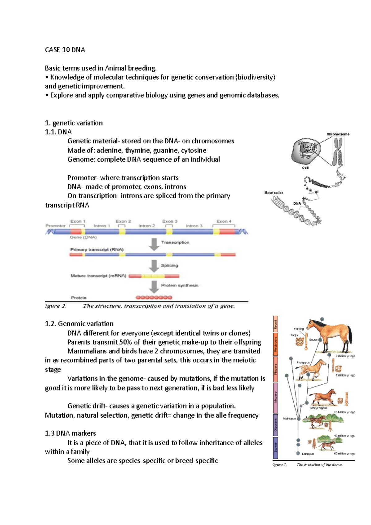 CASE 10 DNA - DNA - CASE 10 DNA Basic terms used in Animal breeding ...