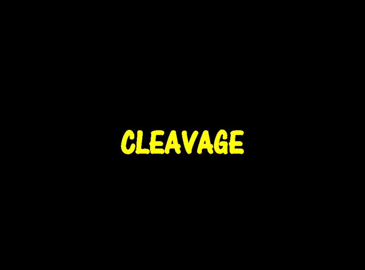 Cleavage - Best notes ever - CLEAVAGE Cleavage Cleavage is a rapid ...
