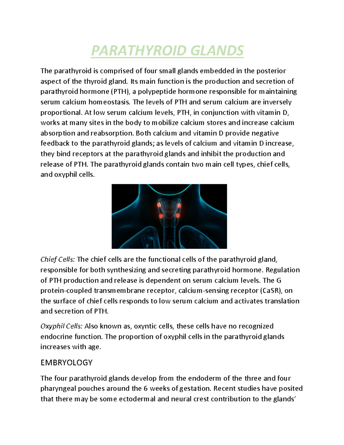 Parathyroid Glands - PARATHYROID GLANDS The parathyroid is comprised of ...